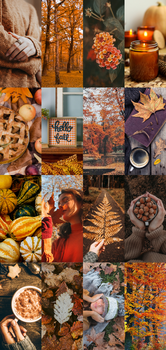 Fall Aesthetic – Sea of Solace
