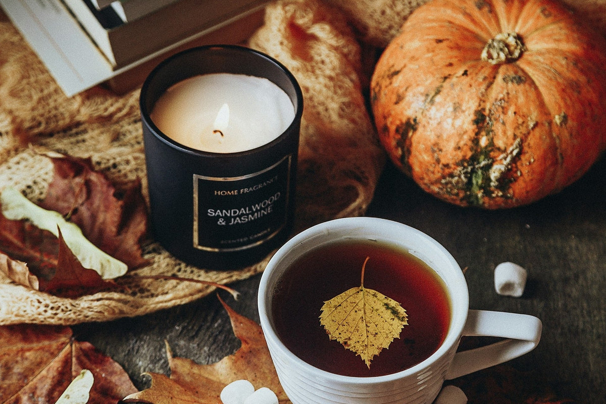 Autumn's Wisdom: 7 Lessons from the Fall Season – Sea of Solace